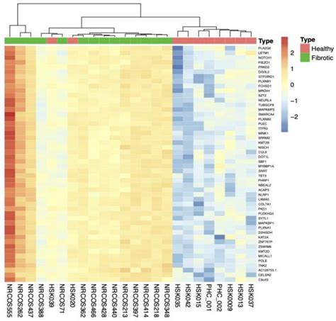 Markers Of Type 2 Inflammation And Immunosenescence Are Upregulated In