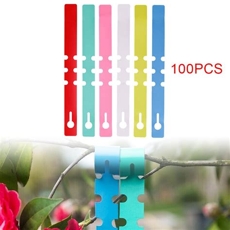 100pcs Garden Plant Tree Labels Hanging Name Tags Vicedeal