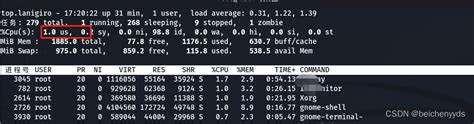 一次linux 【mirai蠕虫】的应急处置 Csdn博客