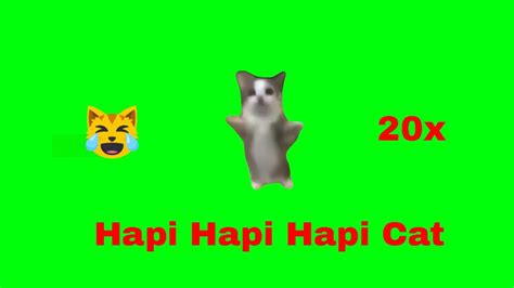 Hapi Hapi Hapi Cat Meme Green Screen Speed 20x Youtube