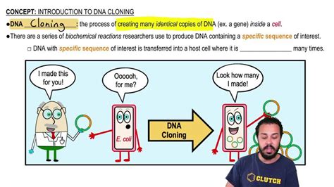 Recombinant Dna Animation