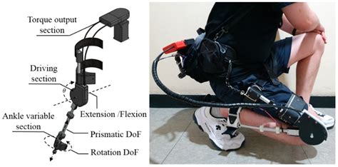 Freedom Exoskeleton At Marie Vaughan Blog