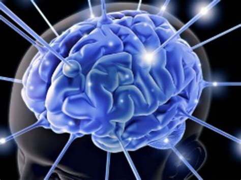 Pathocracy Psychology Today New Zealand