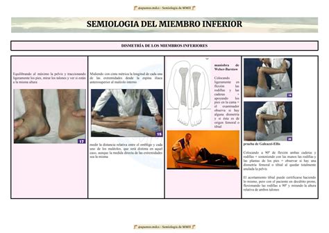 Solution Semiologia De Miembro Inferior Studypool