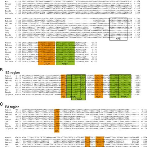 Genomic Sequence Alignment And Transcription Factor Binding Sites For
