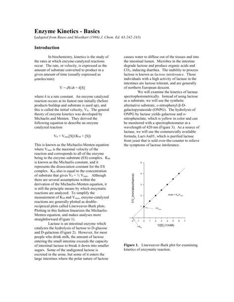enzyme kinetics basics