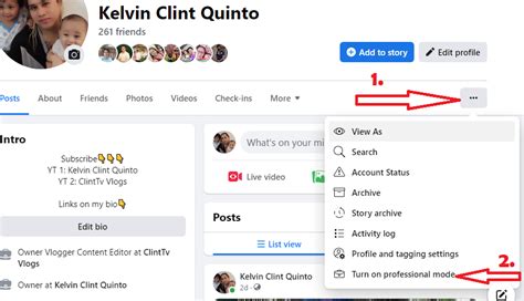 Facebook Professional Mode Explained