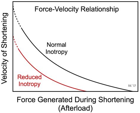 Cv Physiology Ventricular Systolic Dysfunction Hfref