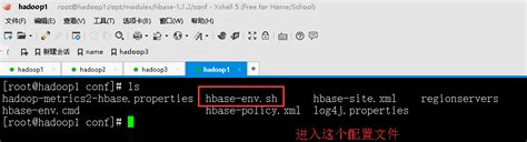 Hbase启动报错java Hotspottm 64 Bit Server Vm Warning Ignoring Option