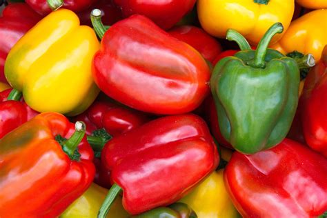 Growing Bell Peppers From Planting To Harvest The Old Farmers Almanac