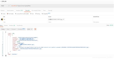 Nodejs Koa2 Koa Body开发文件上传服务图片视频音频koa Potofile Csdn博客