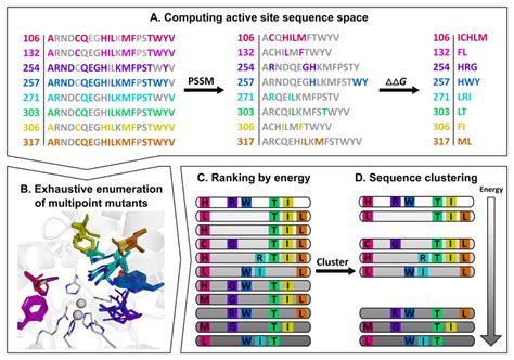 Automated Design Of Efficient And Functionally Diverse Enzyme