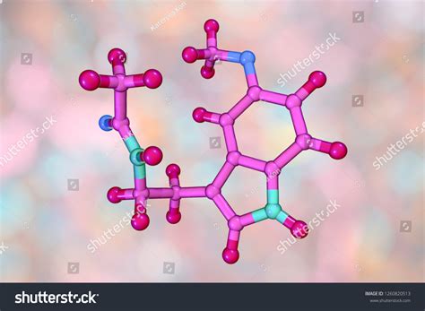 Melatonin Hormone Produced By Pineal Gland 스톡 일러스트 1260820513