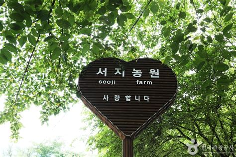 서지관광농원 경상남도 산청군 가볼만한곳 관광지랭킹