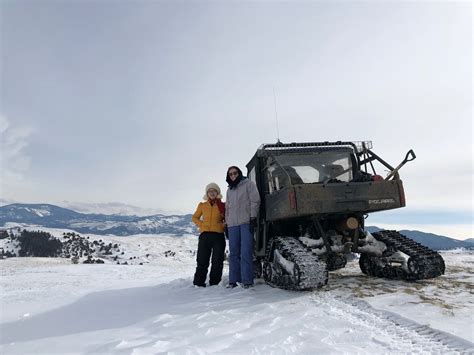 Latest Seer Lab And Qdec Lab Publication Defines Sex Specific Anthrax Risk For Elk Geography