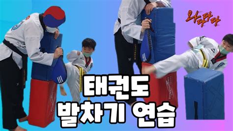 태권도 발차기 연습 훈련 남자아이 태권도 연습하는 법 Youtube