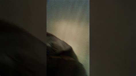 Partner Gerstenberg Gerstenberg Gerstenberg Youtube