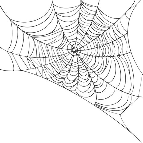 Premium Vector Spider Web Isolated On White Background Realistic Hand Drawn Line Sketch