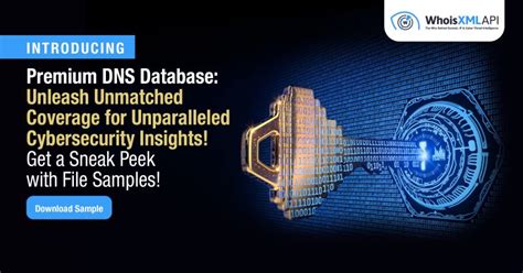 Dns Database Download The Largest Passive Dns Coverage Whoisxml Api Charlie Chen