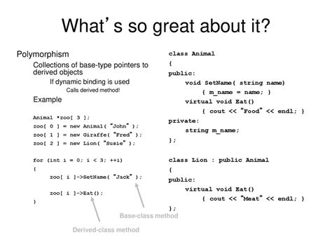 Polymorphism 1 Cmsc Ppt Download
