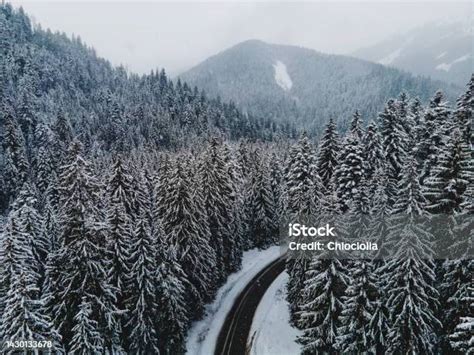 겨울 숲을 통과하는 고속도로의 공중 무인 항공기 촬영 눈으로 덮인 소나무 0명에 대한 스톡 사진 및 기타 이미지 0명 겨울 경관 Istock