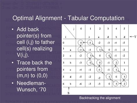 Ppt Pairwise Sequence Alignment Powerpoint Presentation Free Download Id4642944