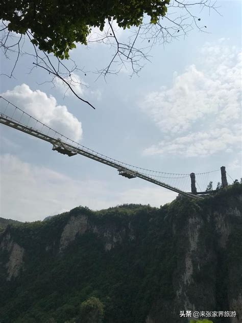 張家界大峽谷玻璃橋 天門山 鳳凰四日游 每日頭條