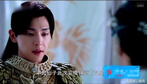 香蜜沉沉烬如霜锦觅下凡历劫醋缸凤霸道护妻网友太甜了 每日头条