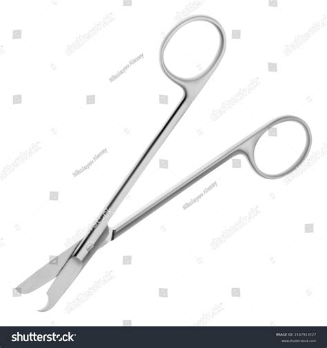 Littauer Scissors These Special Surgical Instrument Stock Vector