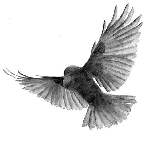 Black Bird Tattoo Designs