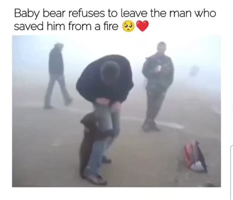 Vignesh Padmalayam Vijay On Linkedin Every Entity On Our Planet Earth