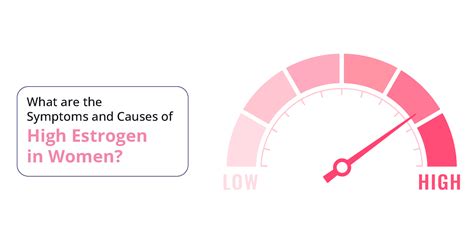 High Estrogen In Women Symptoms Causes And Treatment