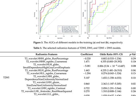 The Selected Radiomics Features Of T2wi Dwi And T2wi Dwi Models Download Scientific Diagram