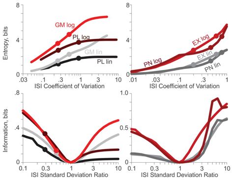 Entropy Top And Information Bottom Calculations As A Function Of