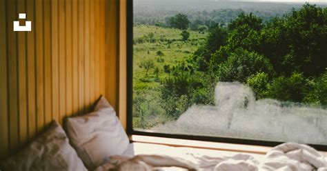 창밖으로 아름다운 전망을 감상할 수 있는 아늑한 객실입니다 사진 Unsplash의 무료 숲 이미지