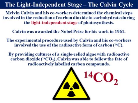 Bioa351 Photosynthesis Experimental Evidence Teaching Resources