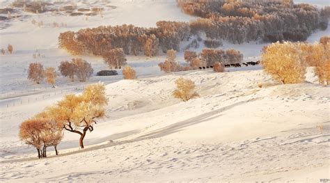 中国雪景不止只有雪乡他为留下中国最美雪景深入荒原零下拍摄