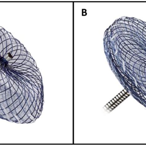 Example Of Amplatzer Devices Commonly Used For Ventricular Septal Download Scientific Diagram
