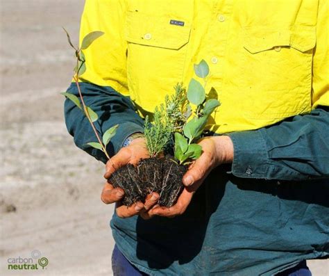 The 3 New Rs Shifting From Reduce Reuse Recycle Handprint