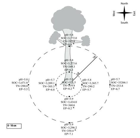 Spatial Distribution Of Some Soil Chemical Properties Beneath And Download Scientific Diagram
