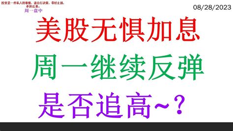 美股无惧加息 周一继续反弹 是否追高~？ Youtube