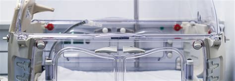 Ibu Bei Persistierendem Ductus Botalli