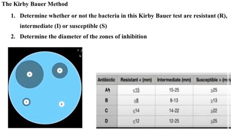 solved the kirby bauer method determines whether the bacteria in this