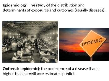 Biology Sex Education By The BioHub Teachers Pay Teachers
