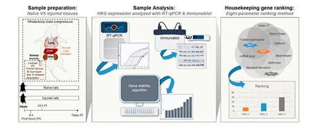 methods and protocols mdpi on linkedin callforreading recommendations highlycitedpapers