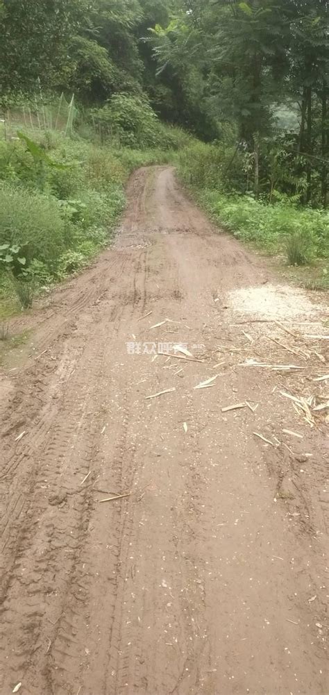 泥巴路 群众呼声 四川省网上群众工作平台 邻水县委书记