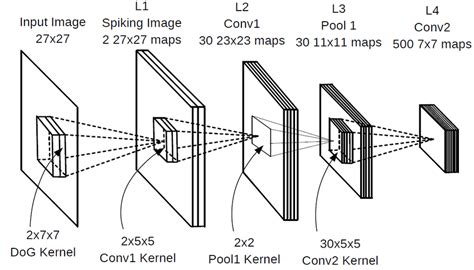 Network Showing Two Convolution Layers Download Scientific Diagram