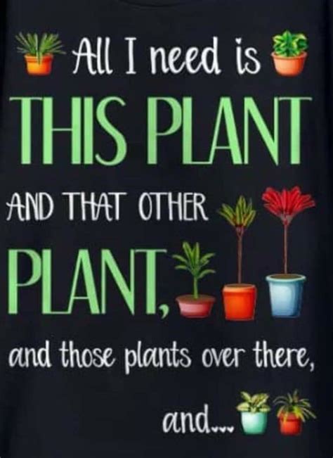 Interest Of Trees Ideas Tree Quotes Trees To Plant Words My XXX Hot Girl Interest Of Trees Ideas Tree Quotes Trees To Plant Words My XXX Hot Girl