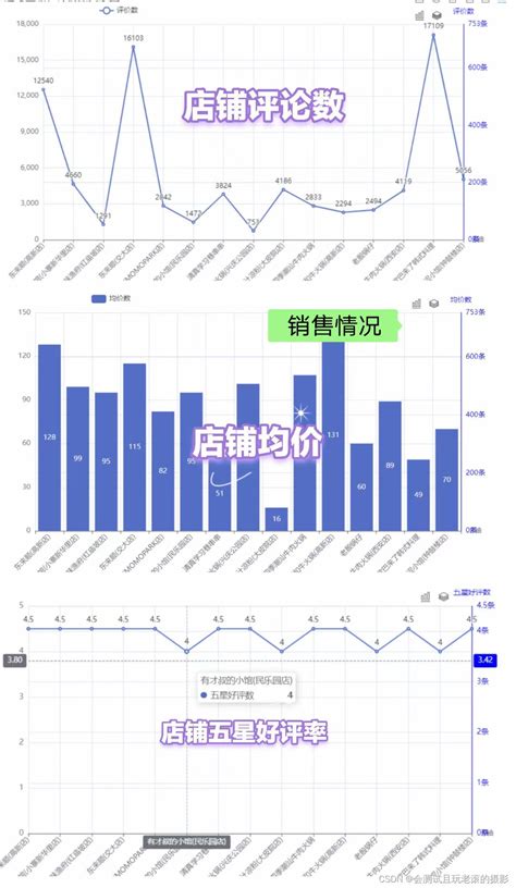 2024年大众点评爬虫数据并可视化大众点评数据可视化大屏 Csdn博客