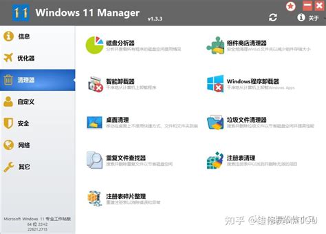 升级你的windows体验——windows 11 Manager，你的电脑优化神器！ 知乎